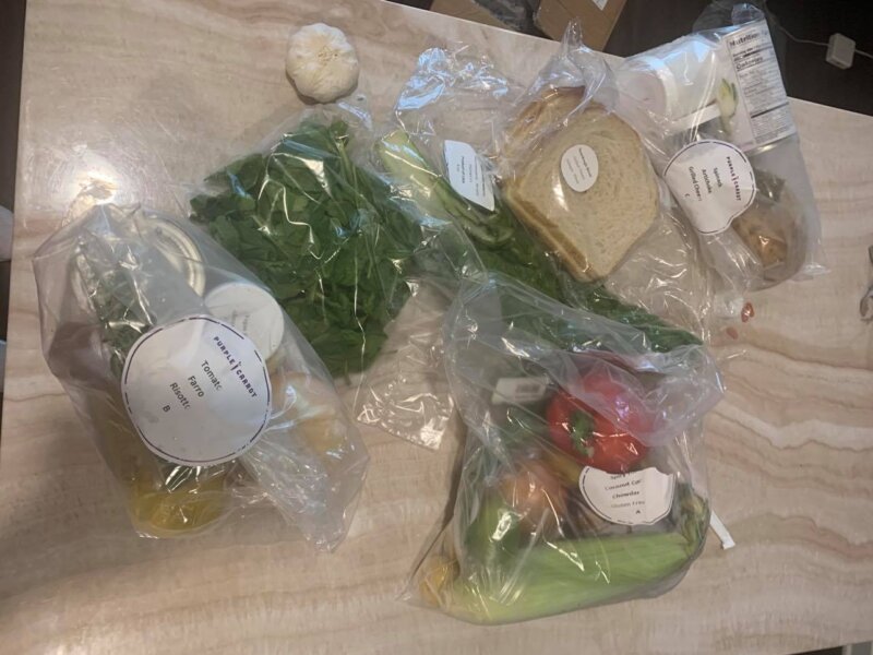 Honest Purple Carrot Review - The Best Vegan Meal Delivery Service